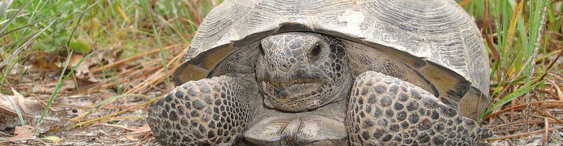 FL Fish and Wildlife Conservation Commission