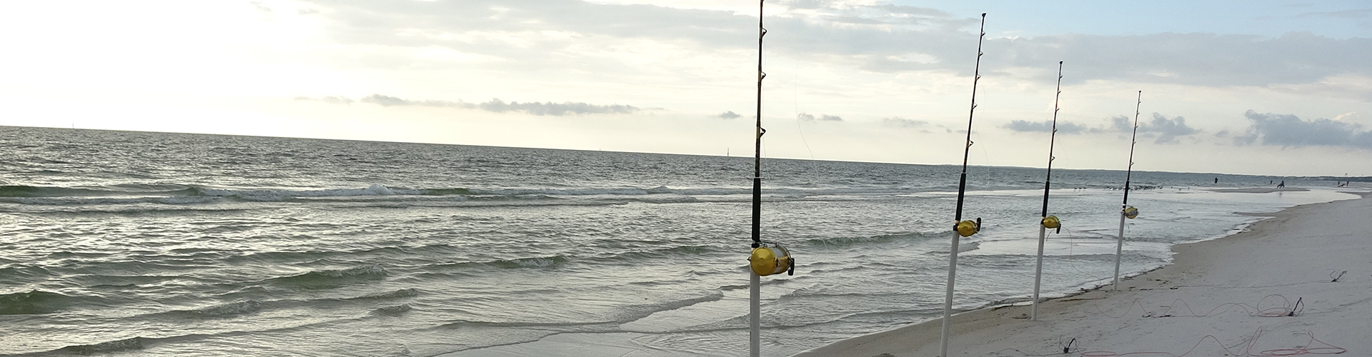 FL Fish and Wildlife Conservation Commission