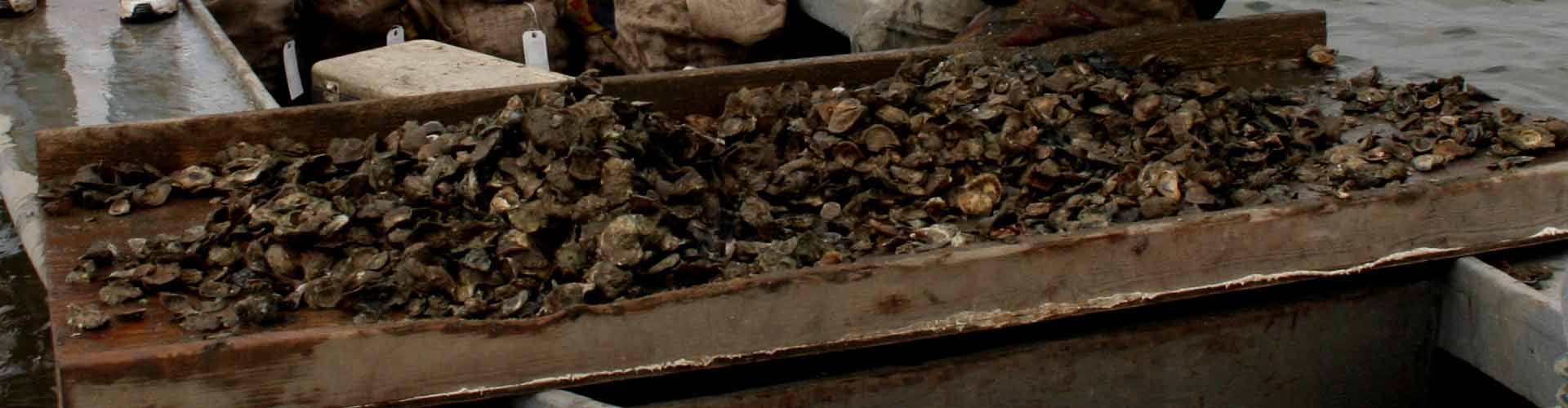 FL Fish and Wildlife Conservation Commission